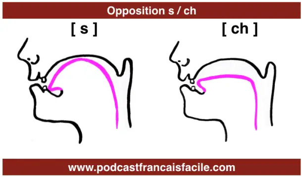 Prononciation "ch" et "s"