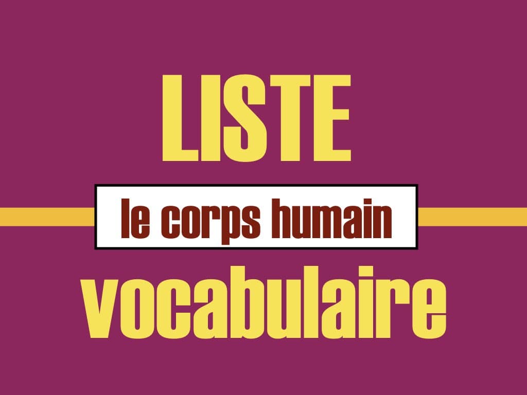 Corps humain - liste de vocabulaire
