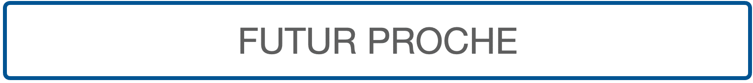Leçons & exercices de grammaire en Français FLE