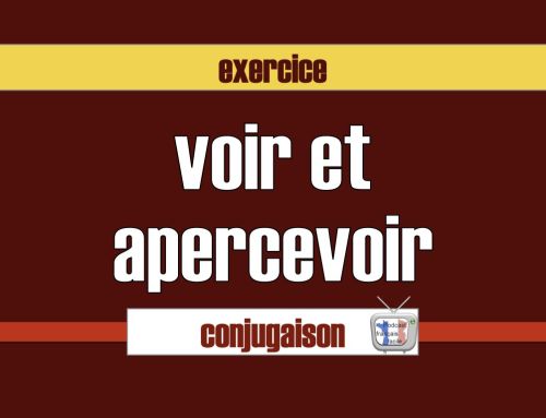 Conjugaison des verbes en -ir au présent
