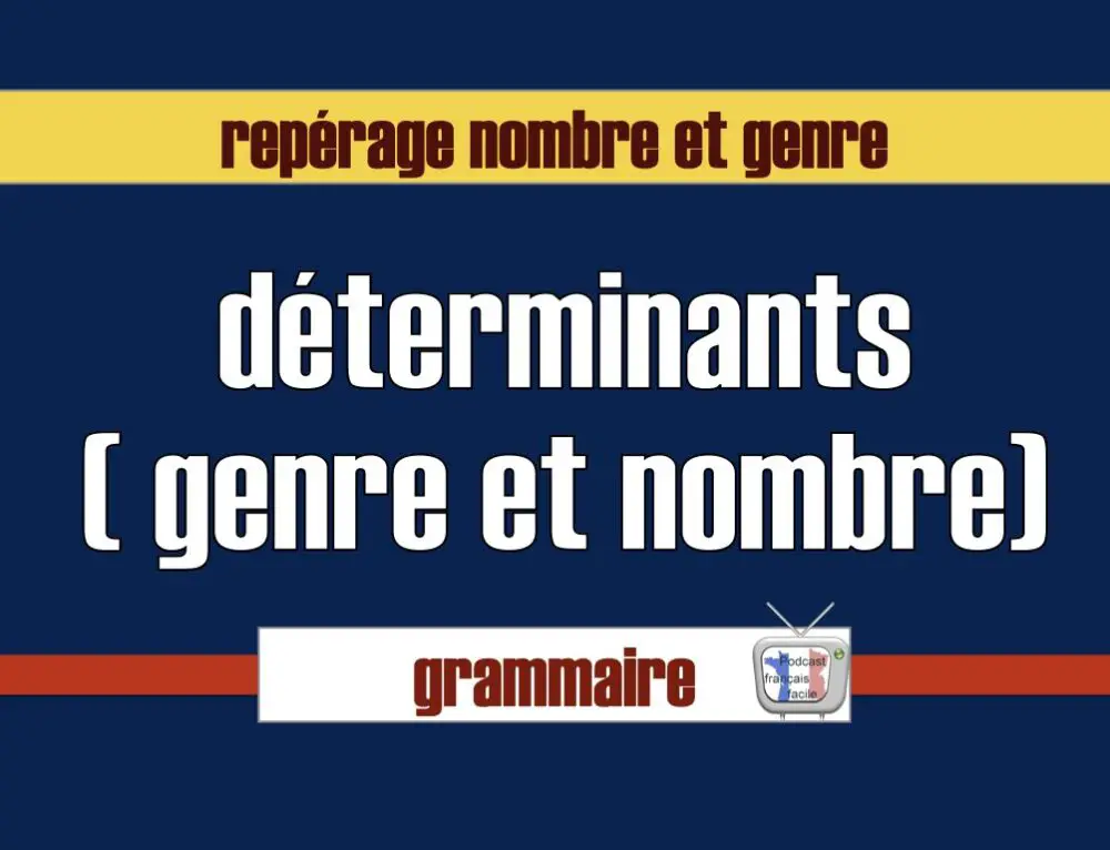 Les adjectifs (masculin vers le féminin)